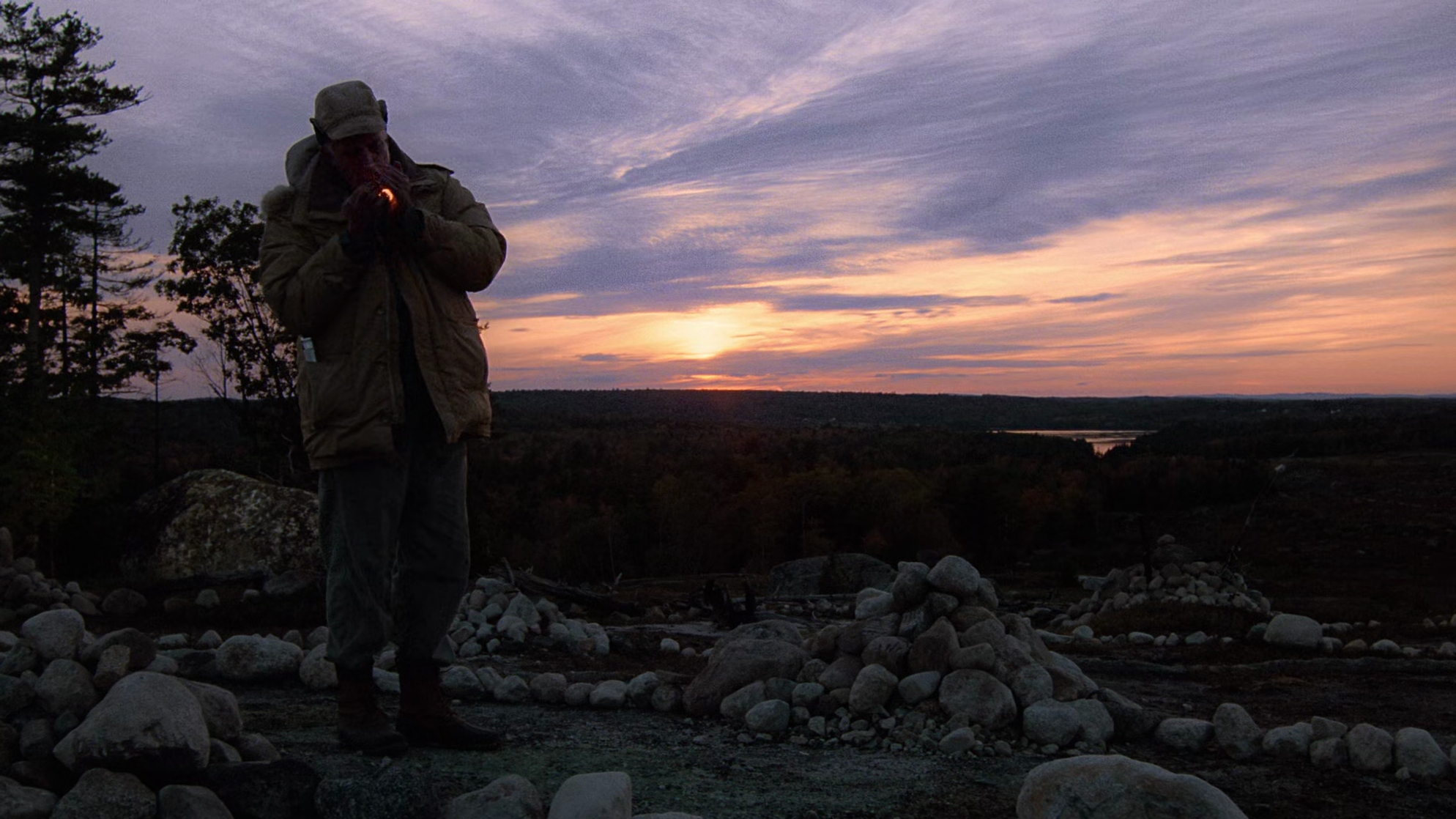 Picture of The Reflecting Skin