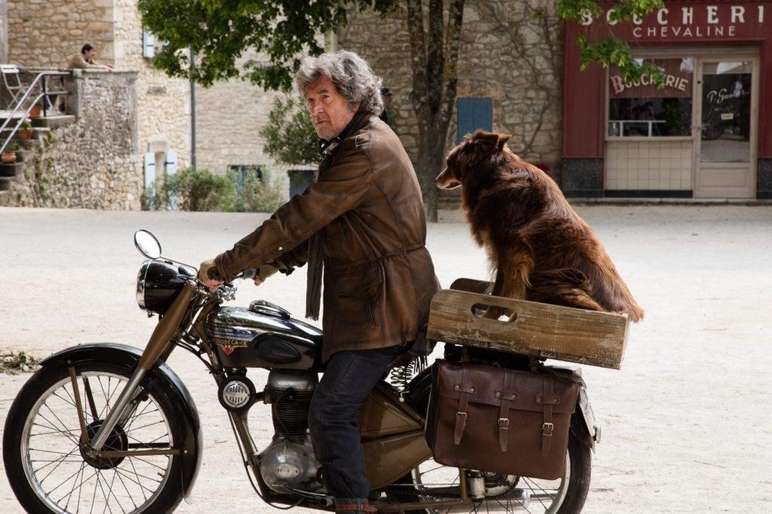 Picture of Poly (2020)