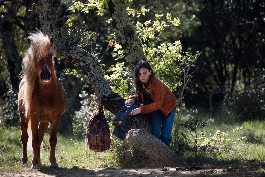 Picture of Poly (2020)