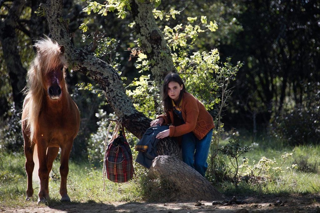 Picture of Poly (2020)