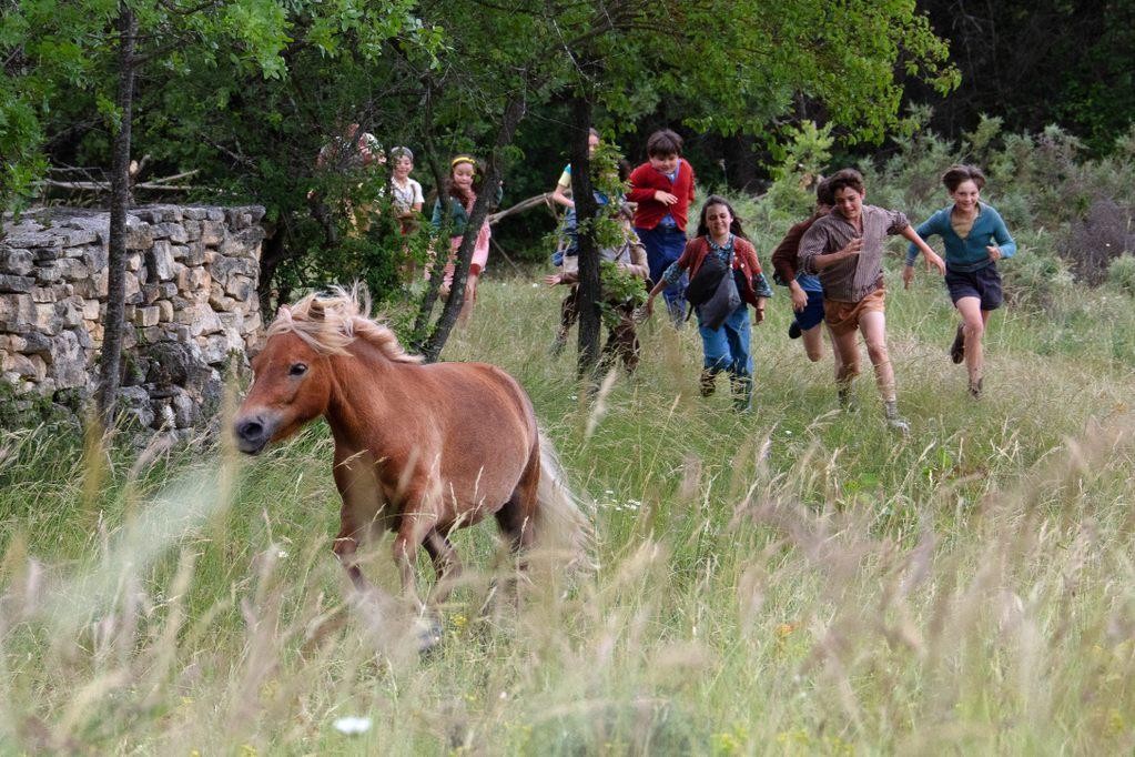 Picture of Poly (2020)