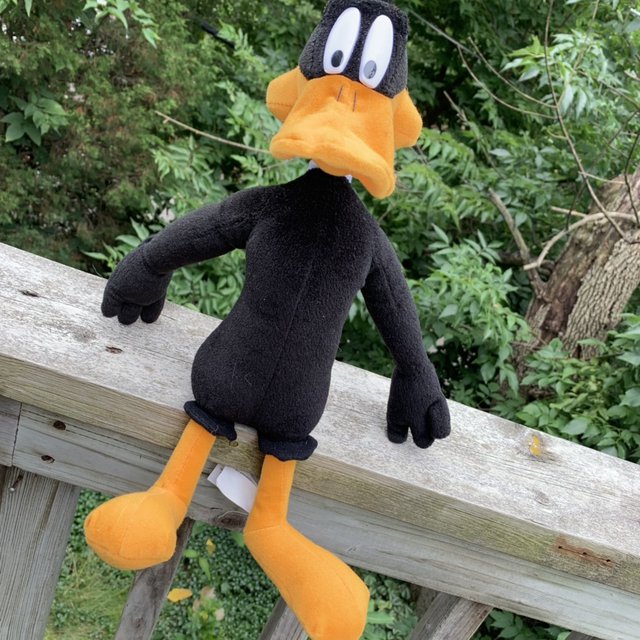 Picture of 10" DAFFY DUCK PLUSH TOY (LOONEY TUNES / WARNER BROS.) (1996)