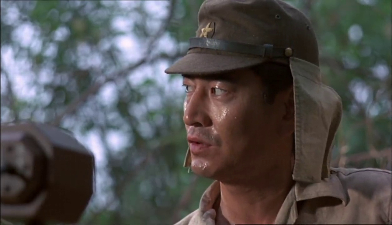 Picture of Too Late the Hero (1970)