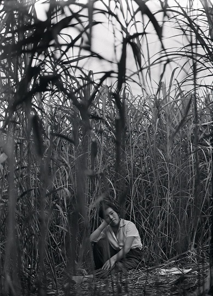 Picture of The Insect Woman