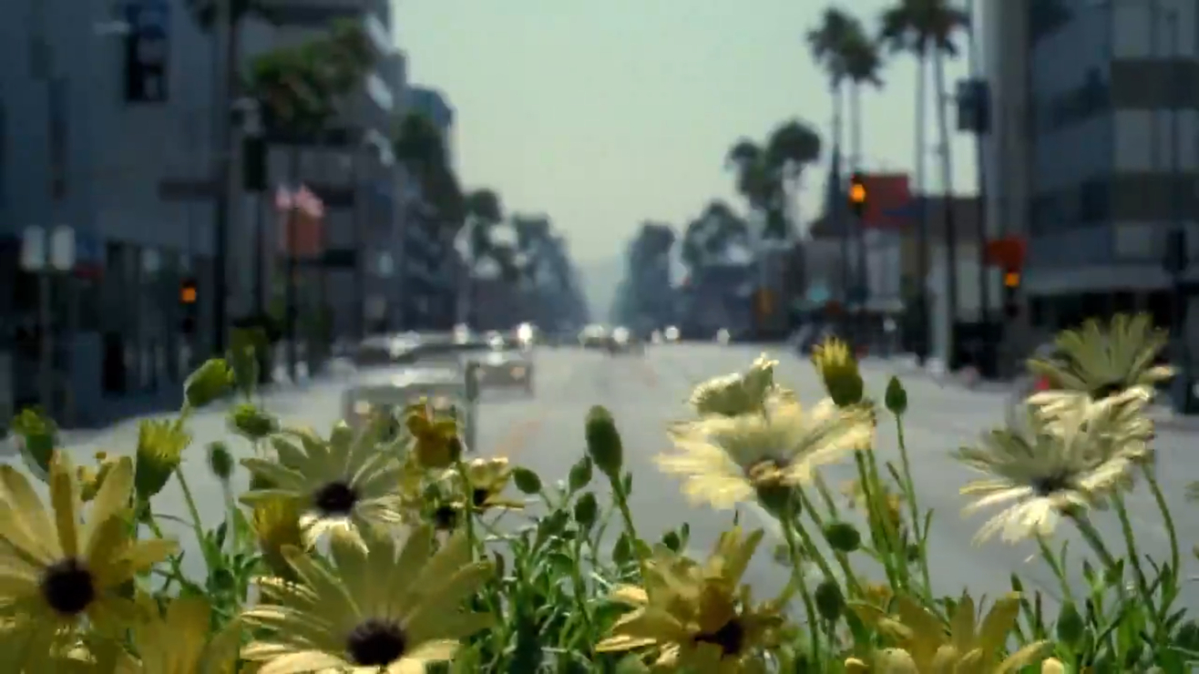 Picture of Adaptation. (2002)