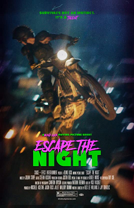 Picture of Escape the Night