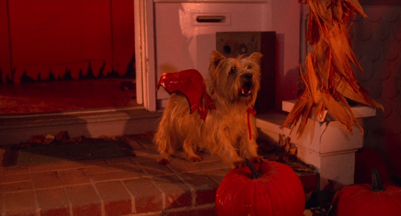 Picture of Hocus Pocus (1993)