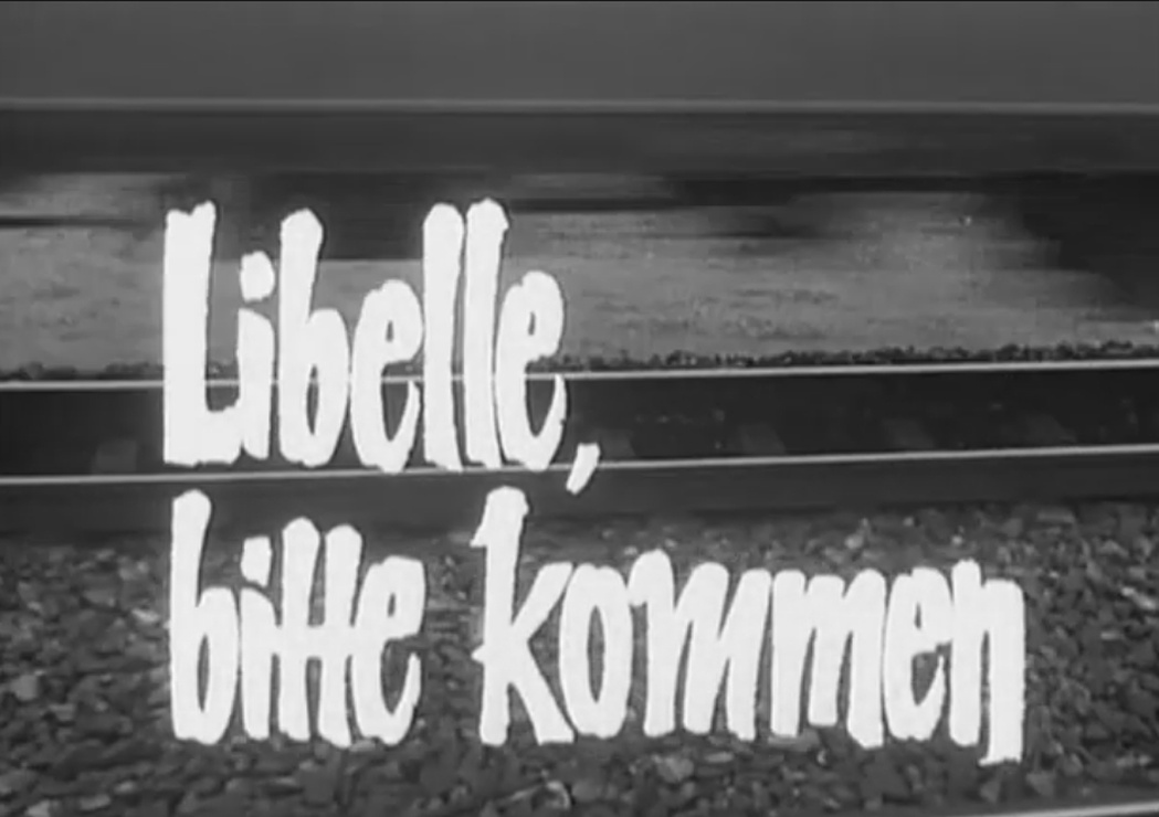 Picture of Libelle bitte kommen