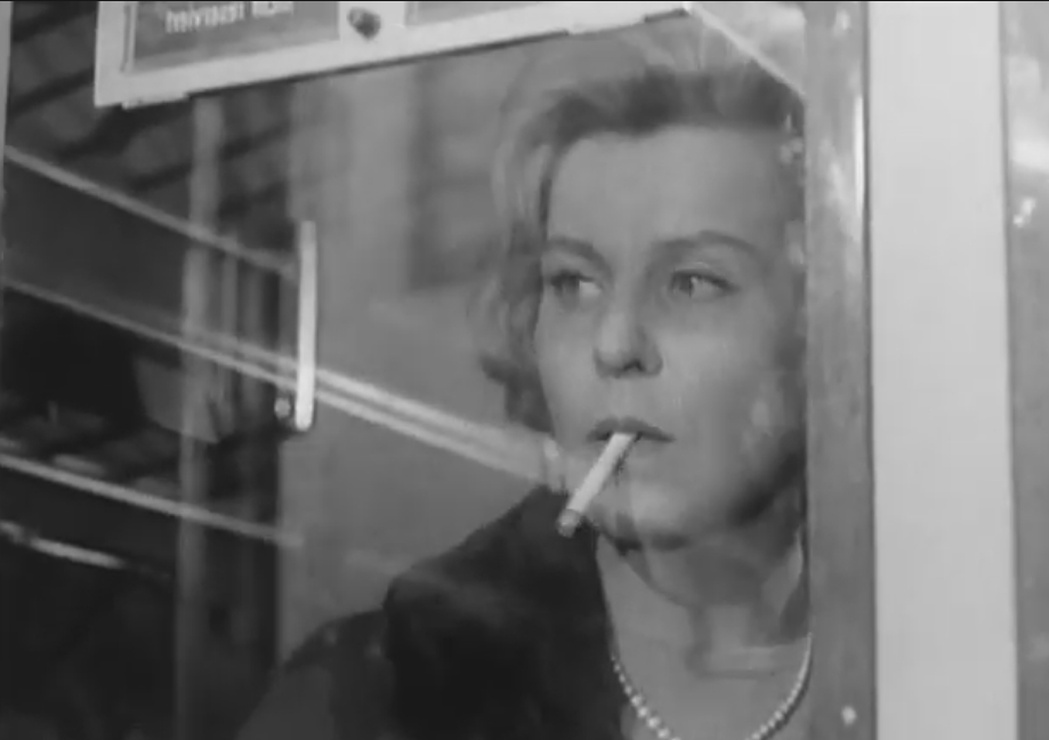 Picture of Libelle bitte kommen