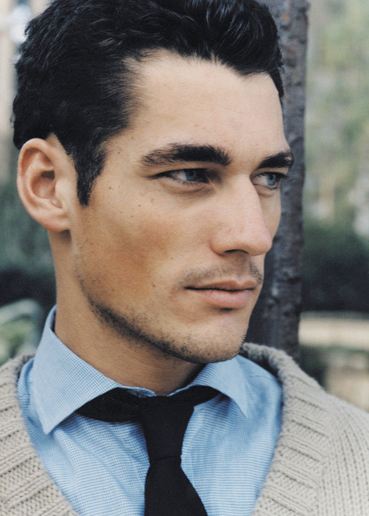 Picture of David Gandy