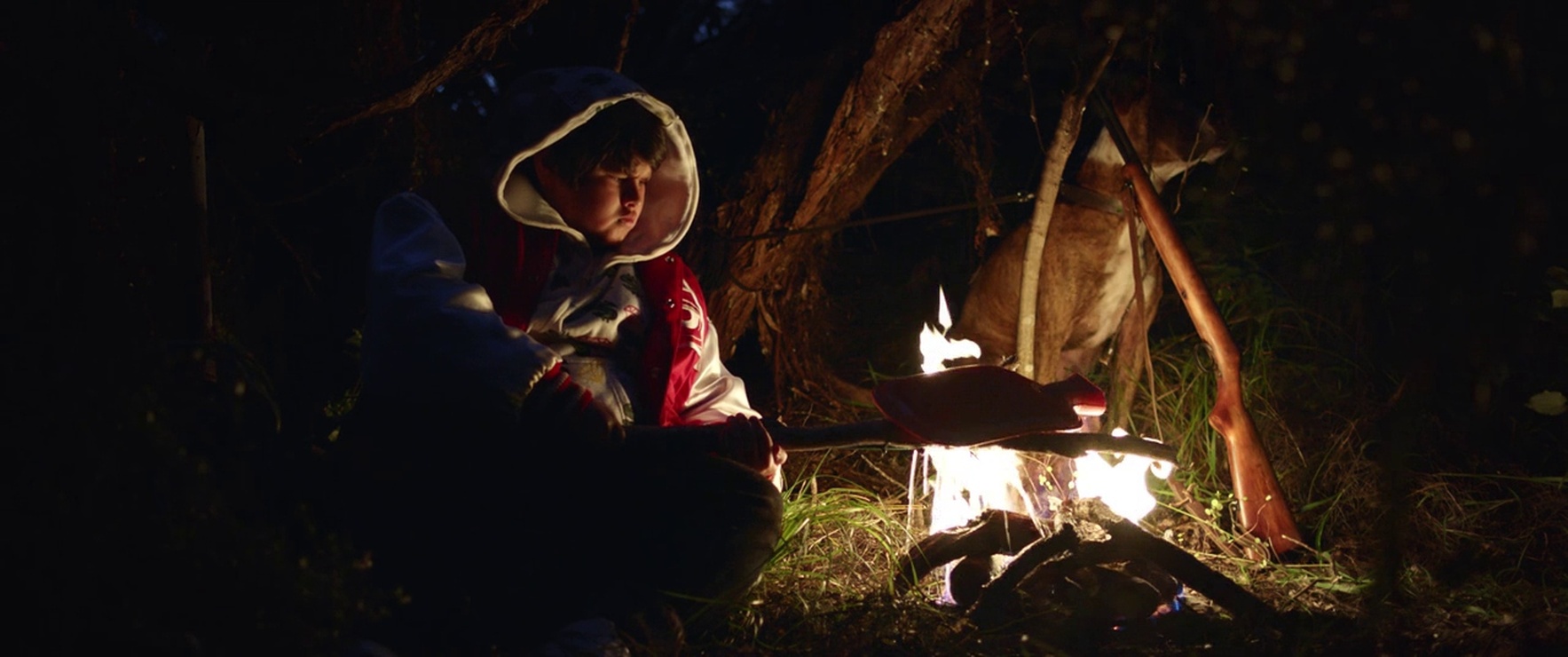 Image of Hunt for the Wilderpeople