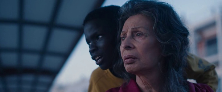 Image of The Life Ahead