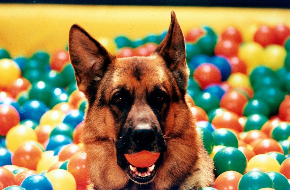 Image of Rhett Butler