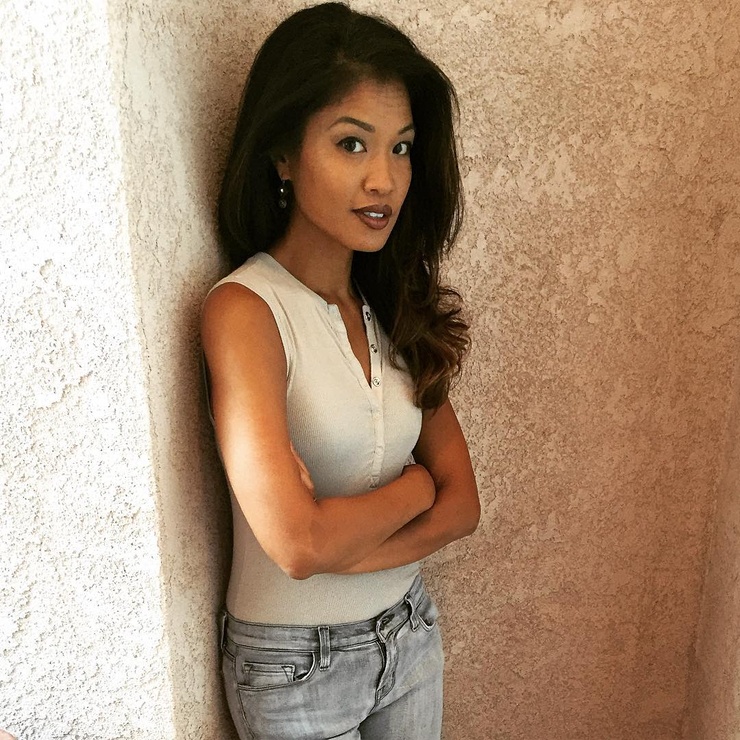 Michelle Malkin image