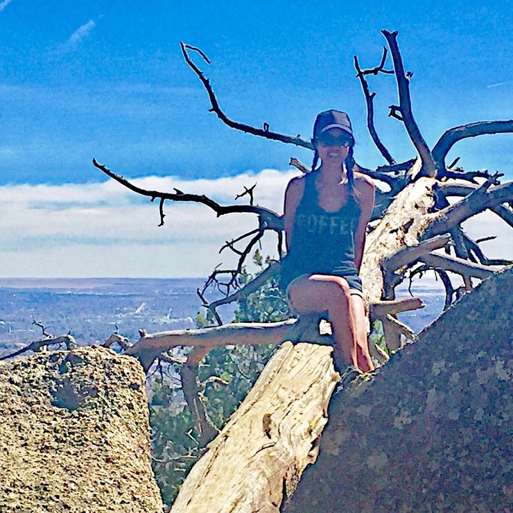 Picture of Michelle Malkin