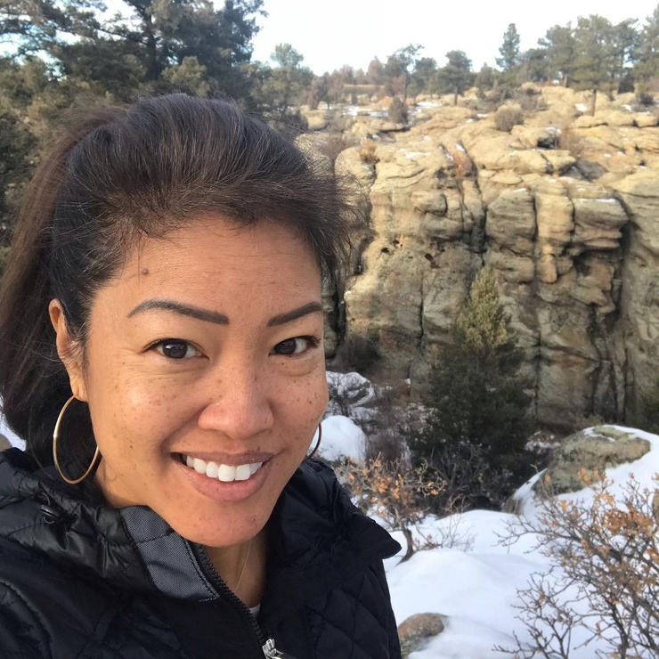 Michelle Malkin image