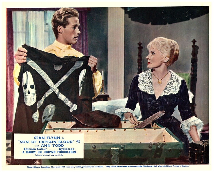 Image of The Son of Captain Blood