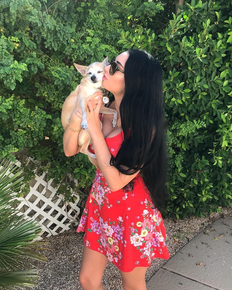 Picture of Paris Dylan