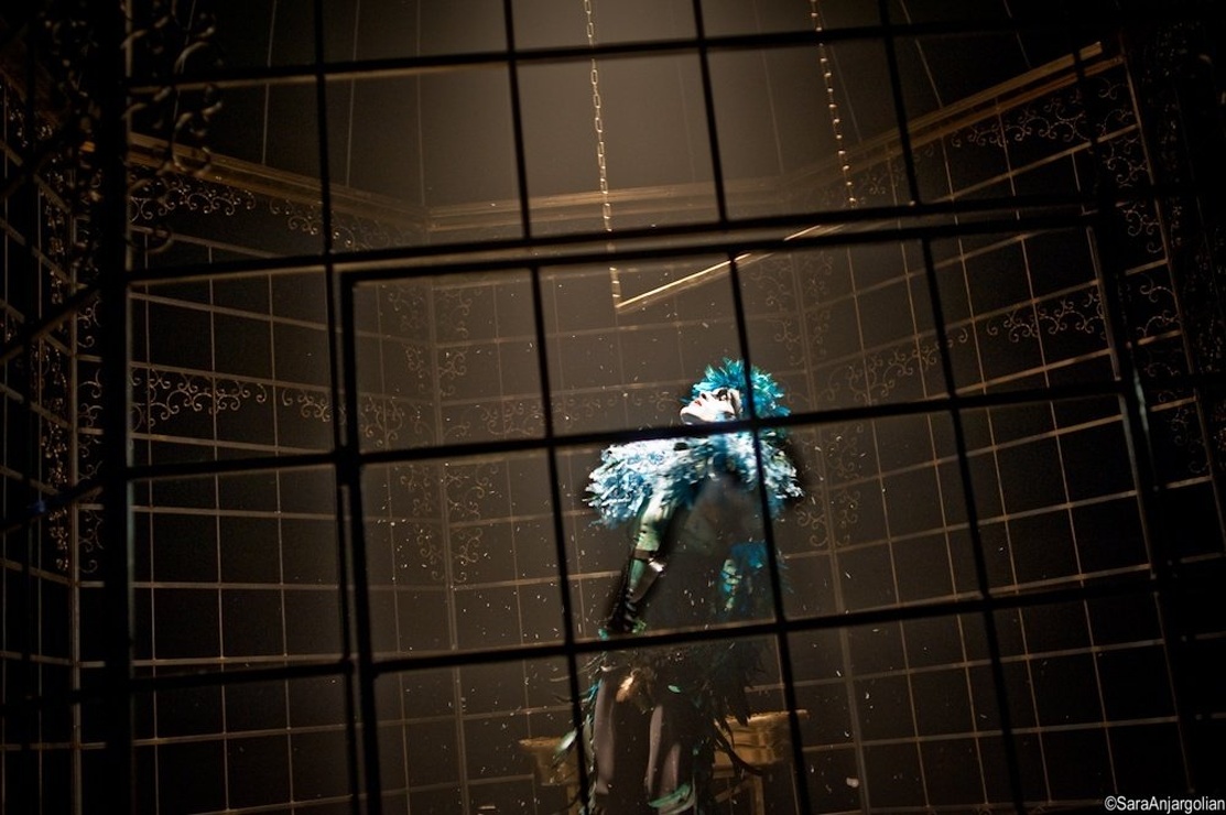 Picture of Zenne Dancer