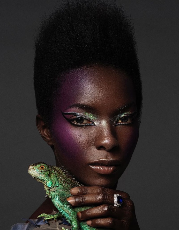 Image of Vaquel Tyies