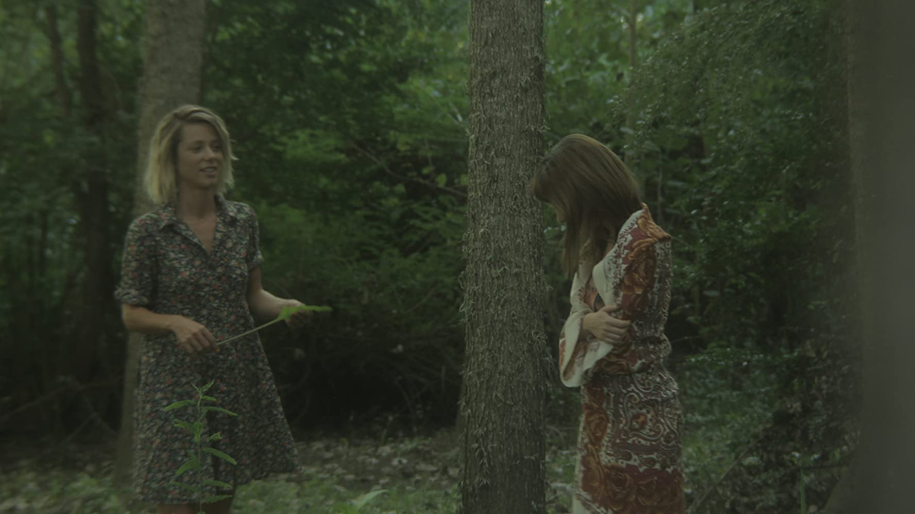 Picture of January Sun