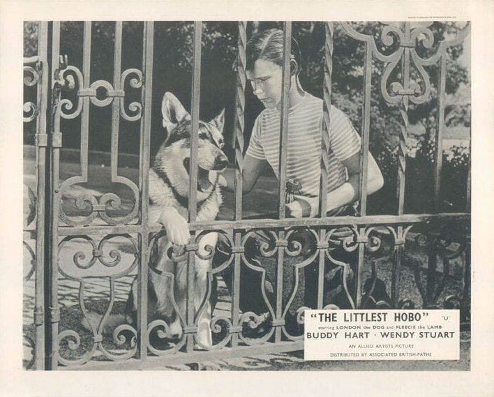 The Littlest Hobo picture