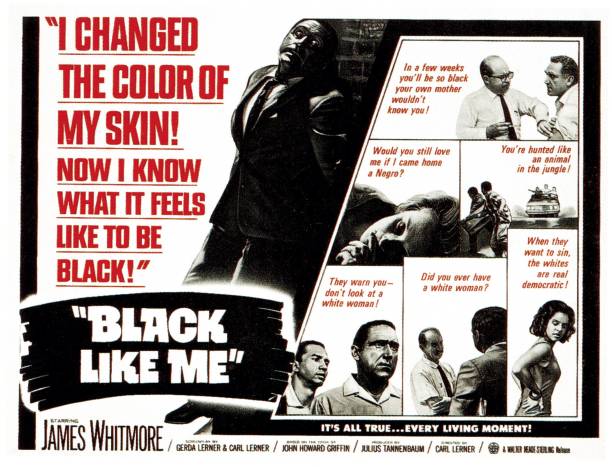 Picture of Black Like Me