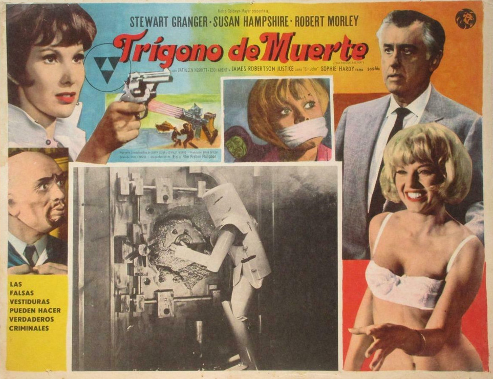 Picture of The Trygon Factor