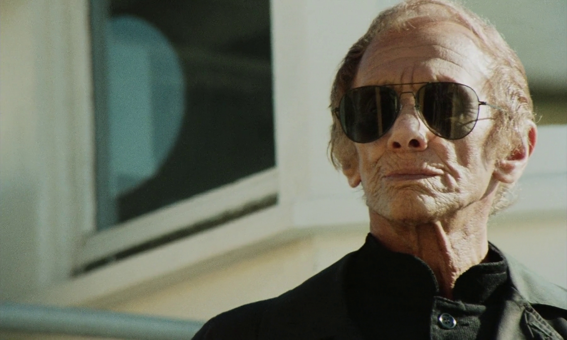 Zoltan: Hound of Dracula image