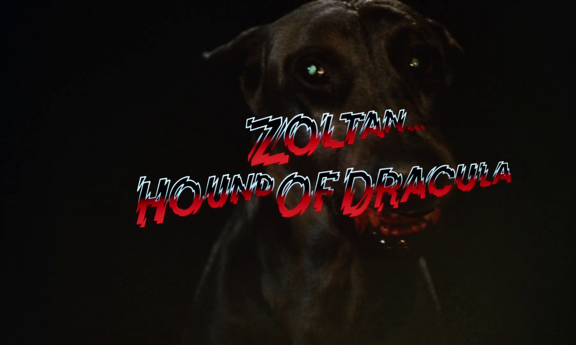 Picture of Zoltan: Hound of Dracula