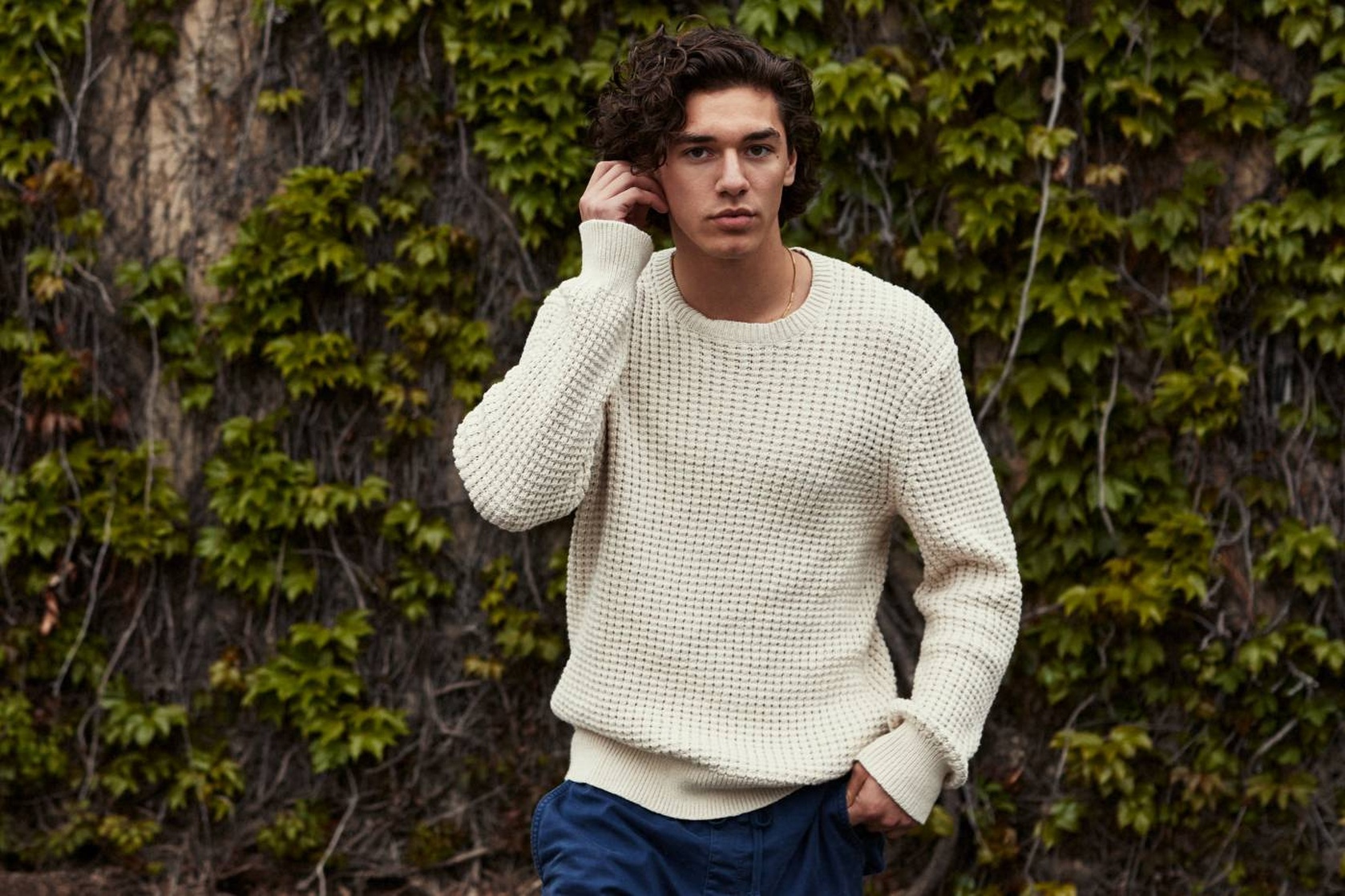 Picture of Belmont Cameli