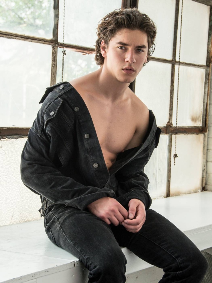 Picture of Belmont Cameli