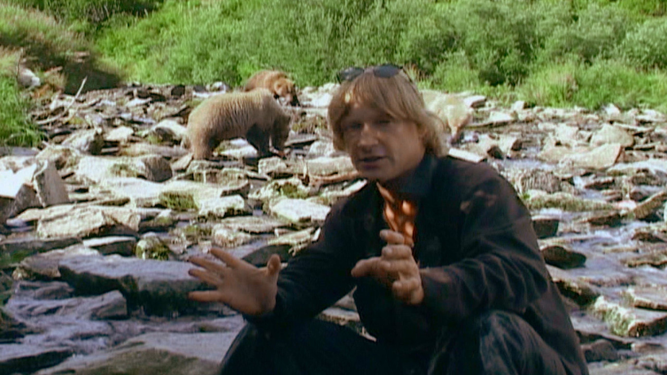 Picture of Grizzly Man