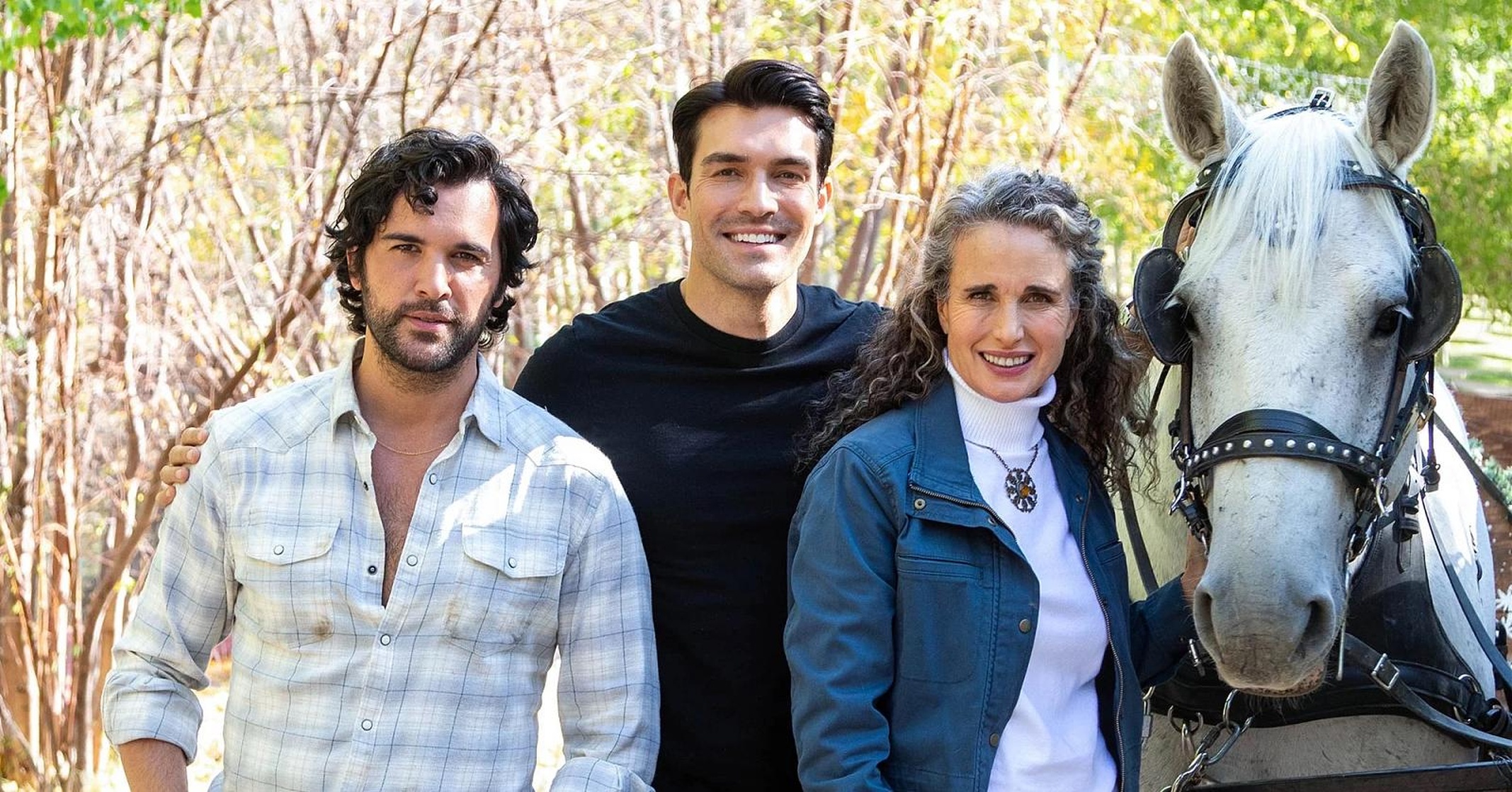 Dashing in December image