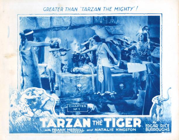 Picture of Tarzan the Tiger