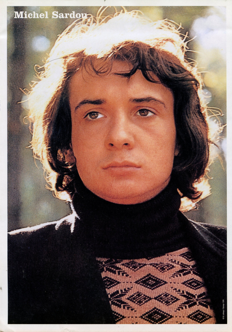 Michel Sardou image