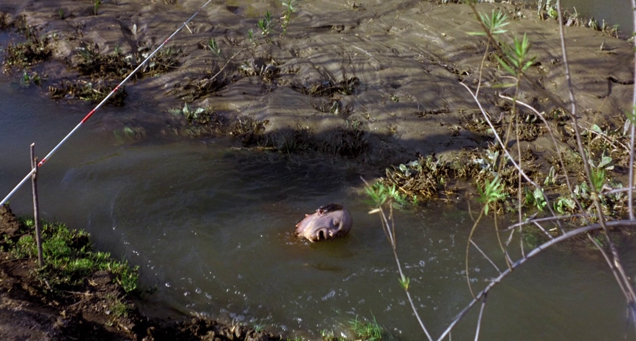 Picture of The Incredible Melting Man (1977)