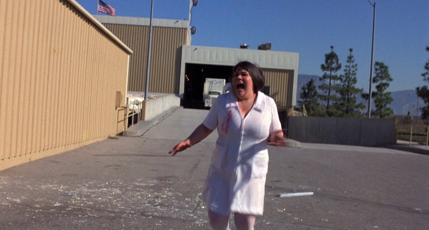 Picture of The Incredible Melting Man (1977)