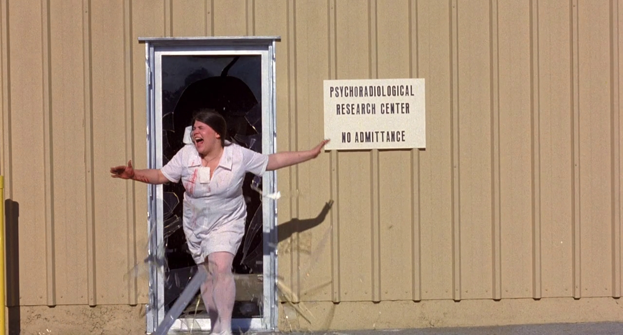 Picture of The Incredible Melting Man (1977)