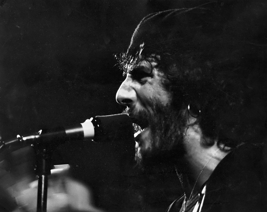 Picture of Bruce Springsteen
