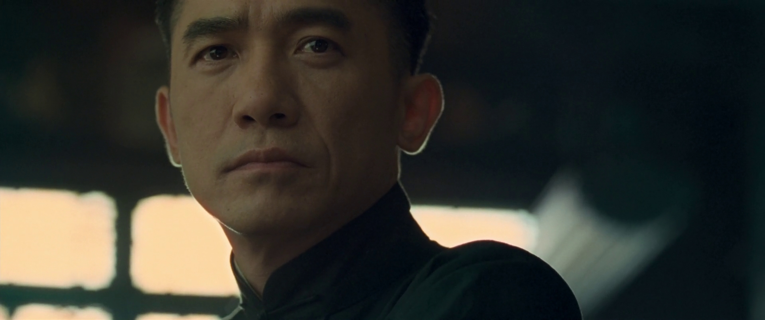 Picture of The Grandmaster