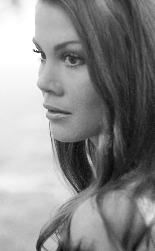 Wende Wagner