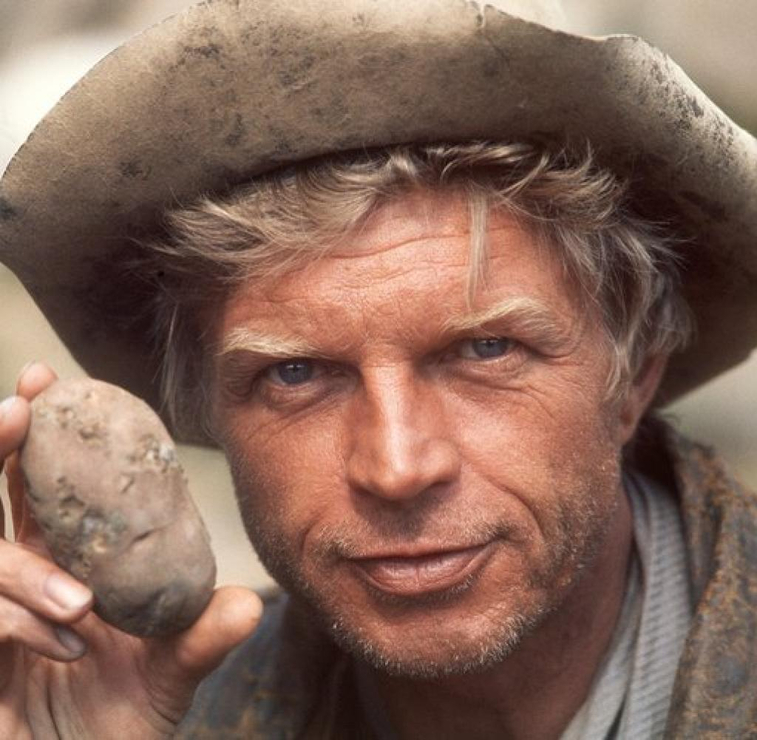 Picture of Potato Fritz