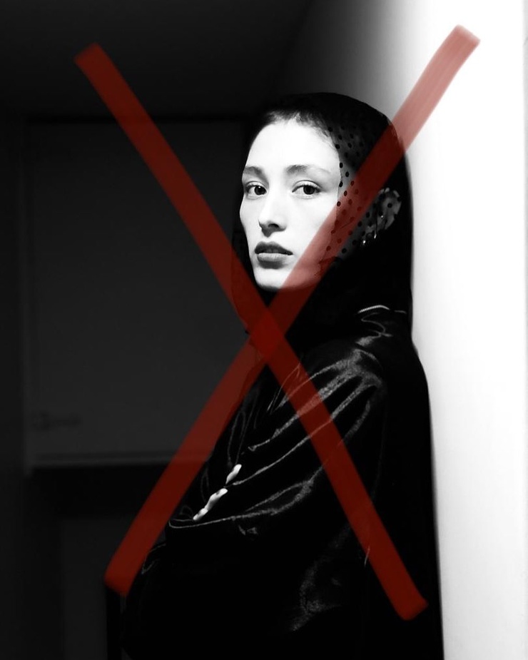 Image of Fereshte Hosseini