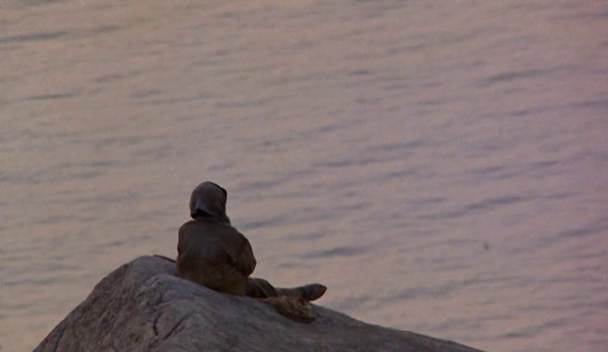 Image of Pelle the Conqueror