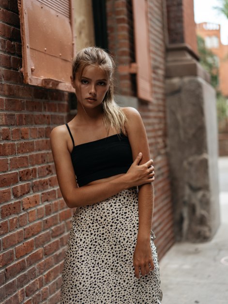 Picture of Arizona Rose