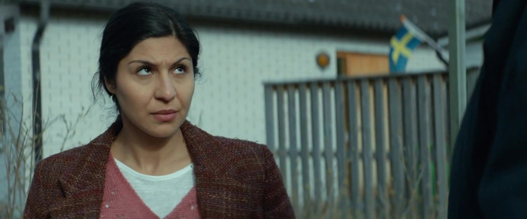 Picture of A Man Called Ove