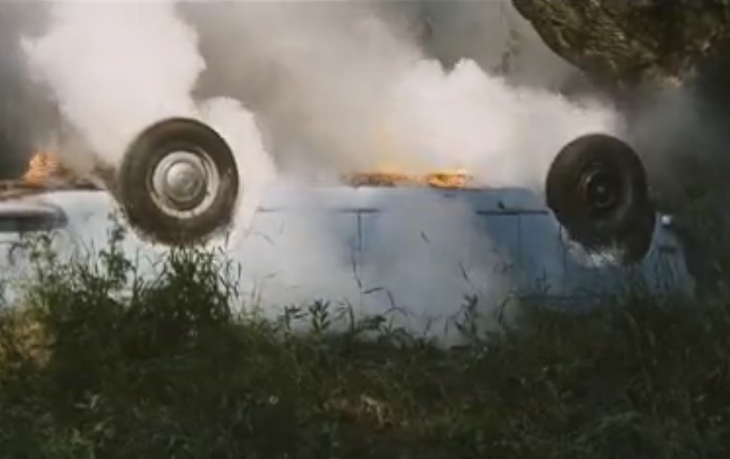 Picture of Muschimaus mag's grad heraus