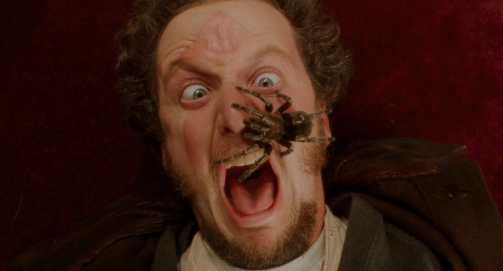 Picture of Home Alone