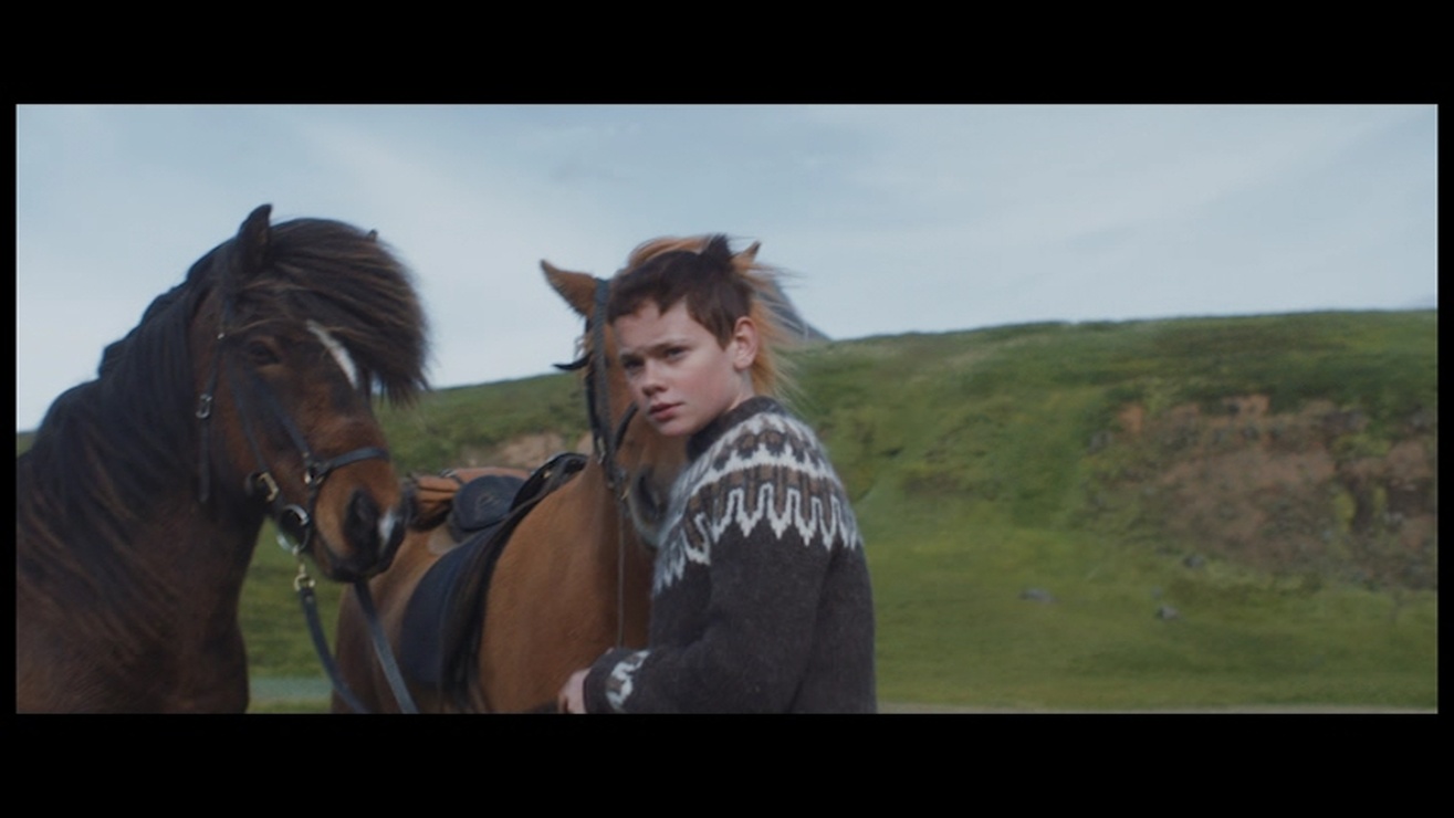 Picture of Heartstone